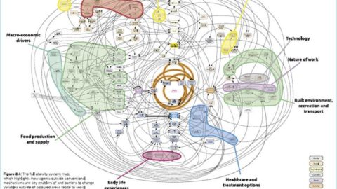 CECAN Webinar: The Human, Learning, Systems Approach to Managing in ...